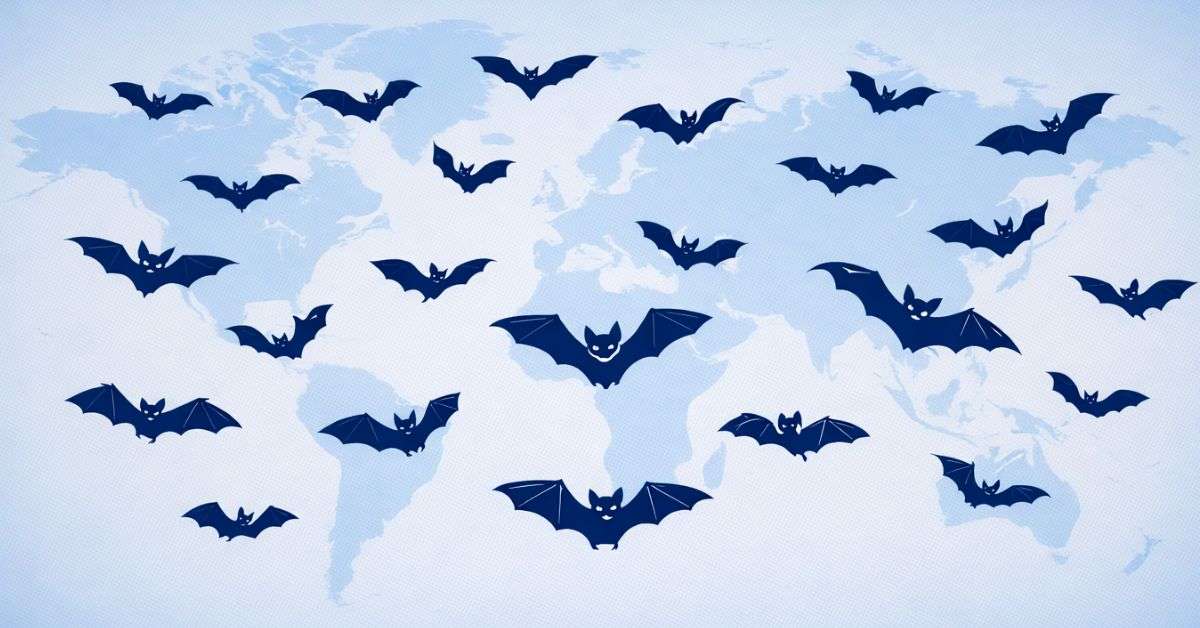 Bat Population by Country (Latest Estimates)