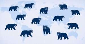 Brown Bear Population by Country 2026