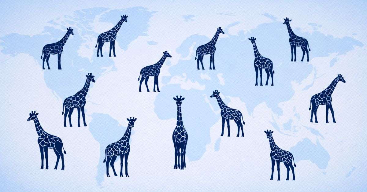 Giraffe Population by Country (Latest Rankings)