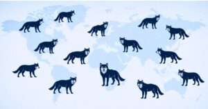 Grey Wolf Population by Country