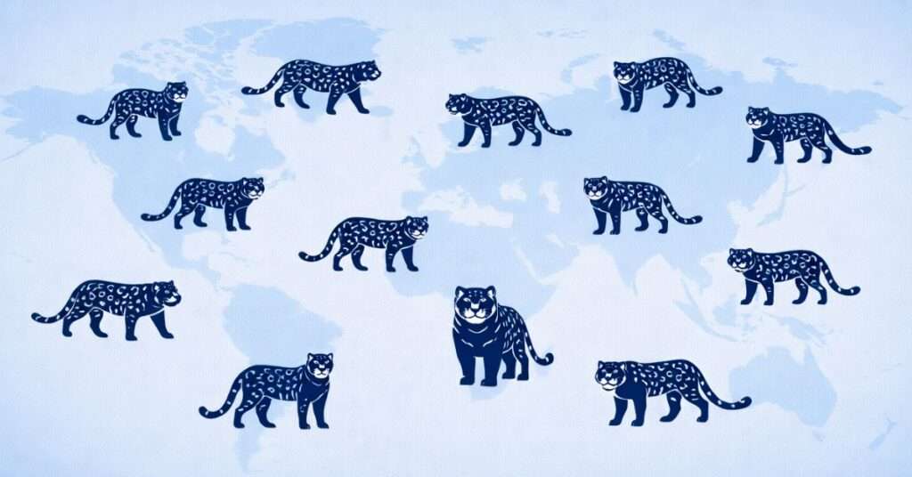 Snow Leopard Population by Country (Latest Data)