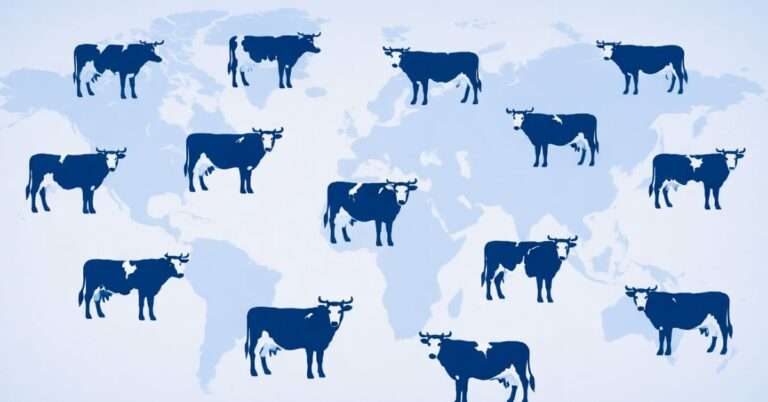 Cow Population by Country (Latest Rankings)