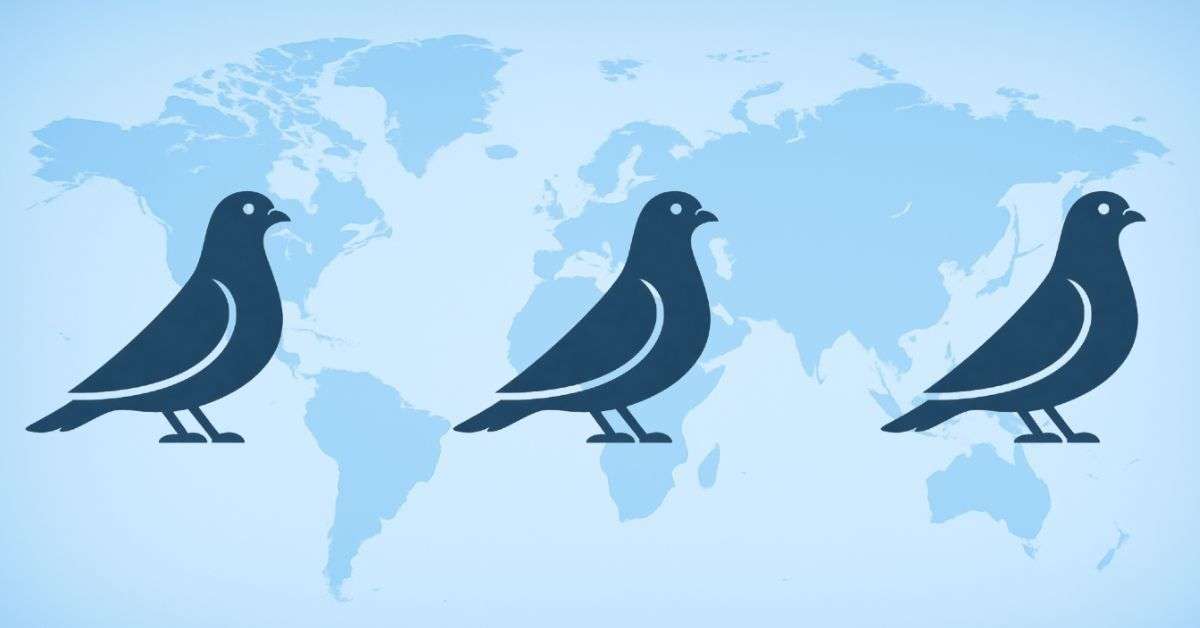 Pigeon Population by Country (Latest Estimates)